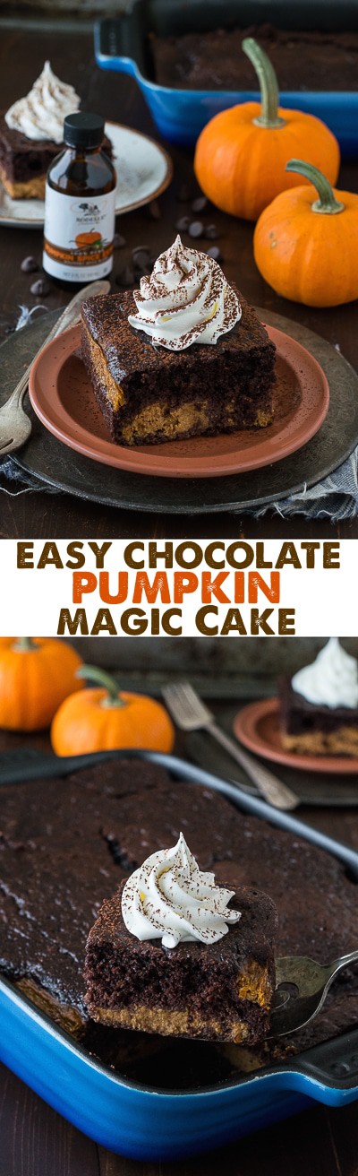 Chocolate Pumpkin Magic Cake