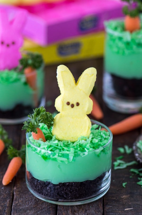 Peeps Bunny Pudding Cups - easter treat for kids!