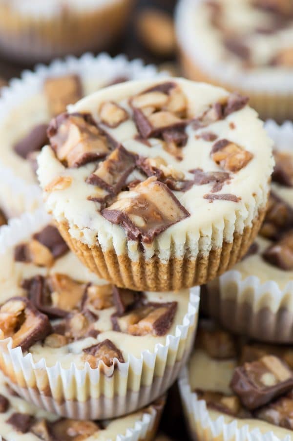 Mini Snicker's Cheesecakes
