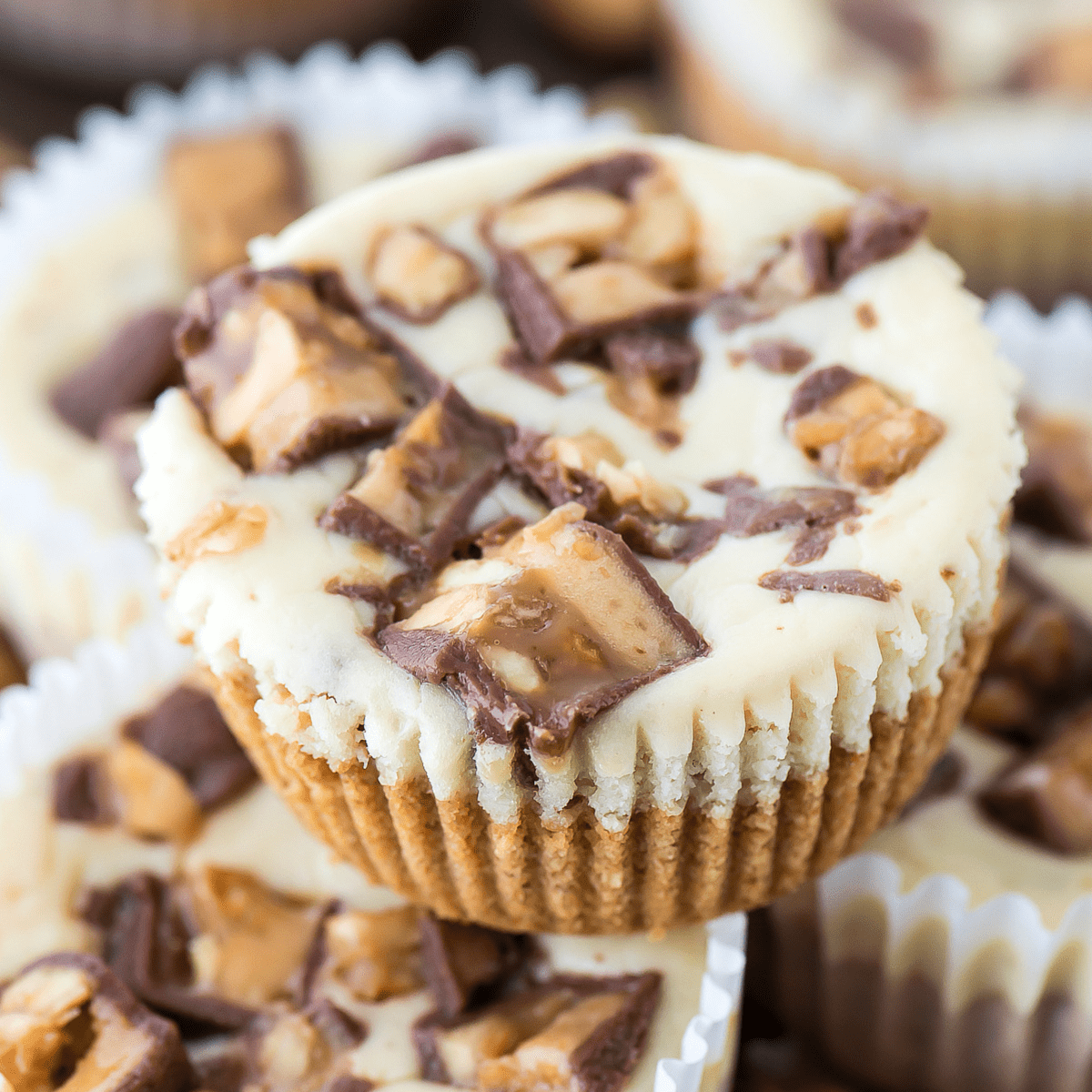 Mini Snicker's Cheesecakes