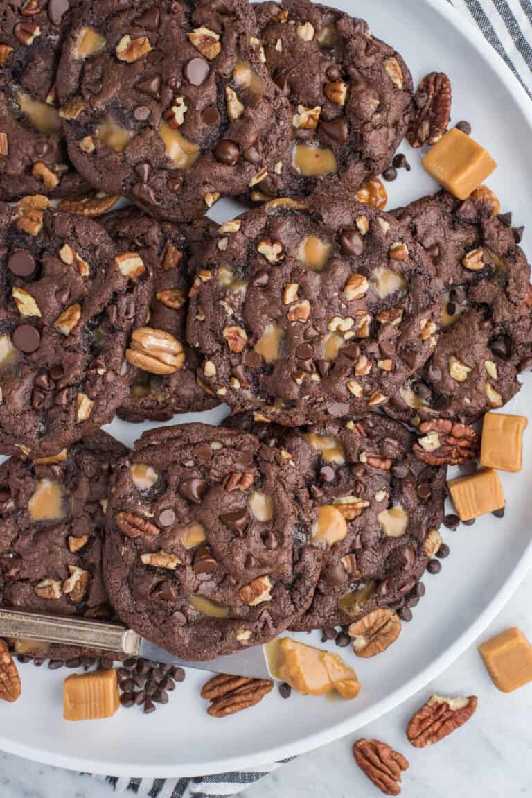 Turtle Cookies - The First Year