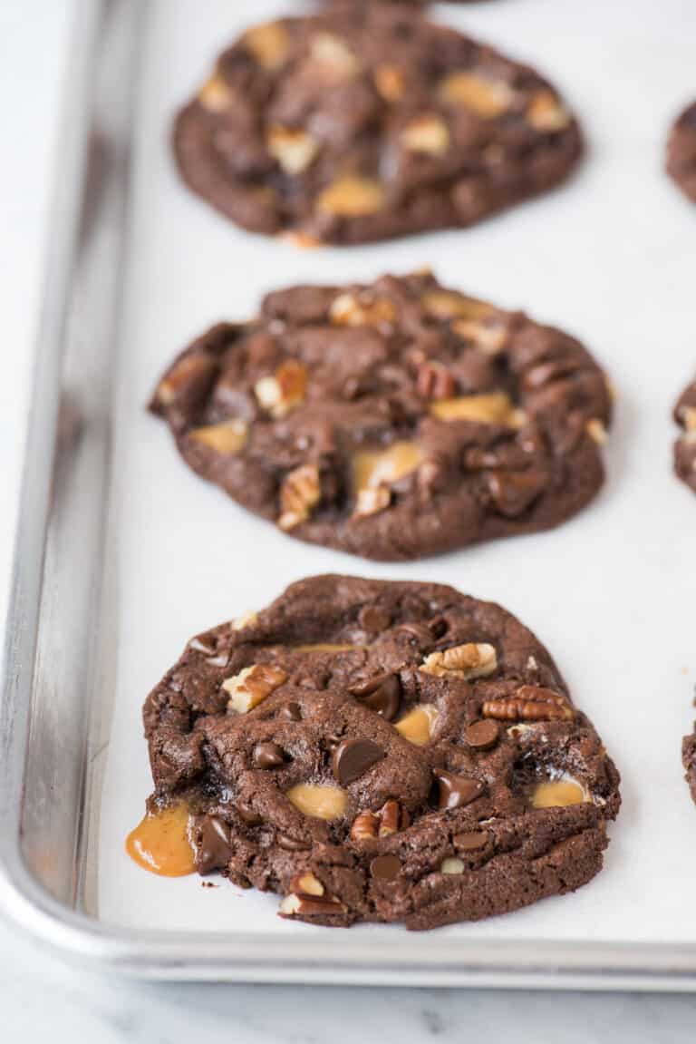 Turtle Cookies - The First Year