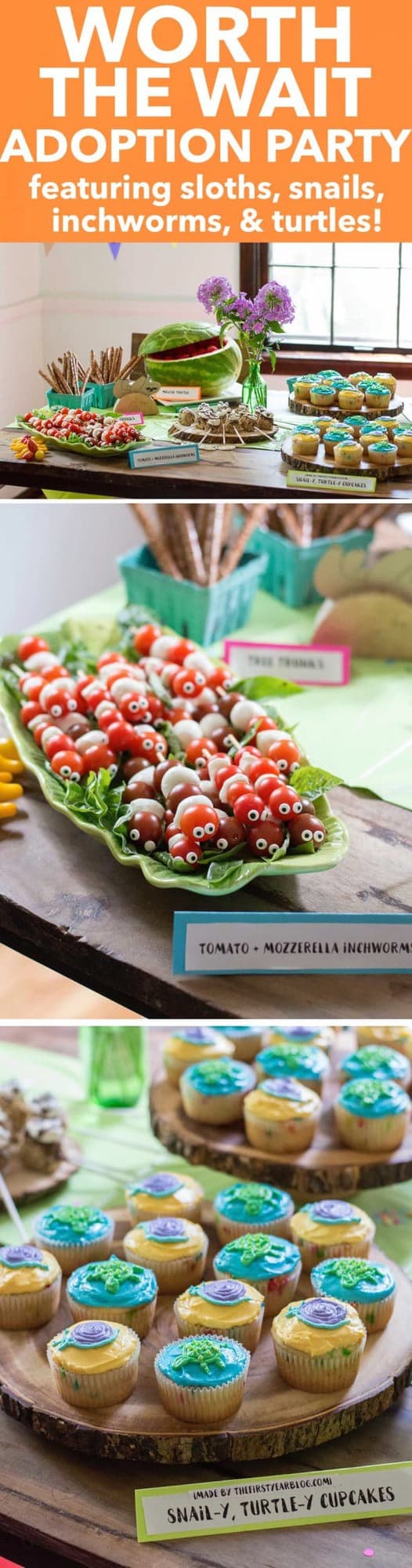 Worth the Wait Adoption Party - The First Year