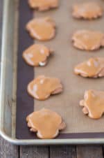 Sticky Paws Candy - Williams Sonoma Copycat - The First Year