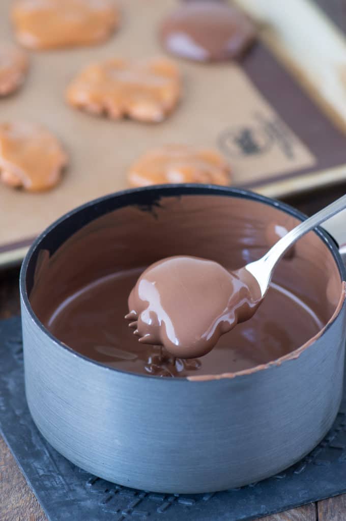 Sticky Paws Candy - Williams Sonoma Copycat - The First Year