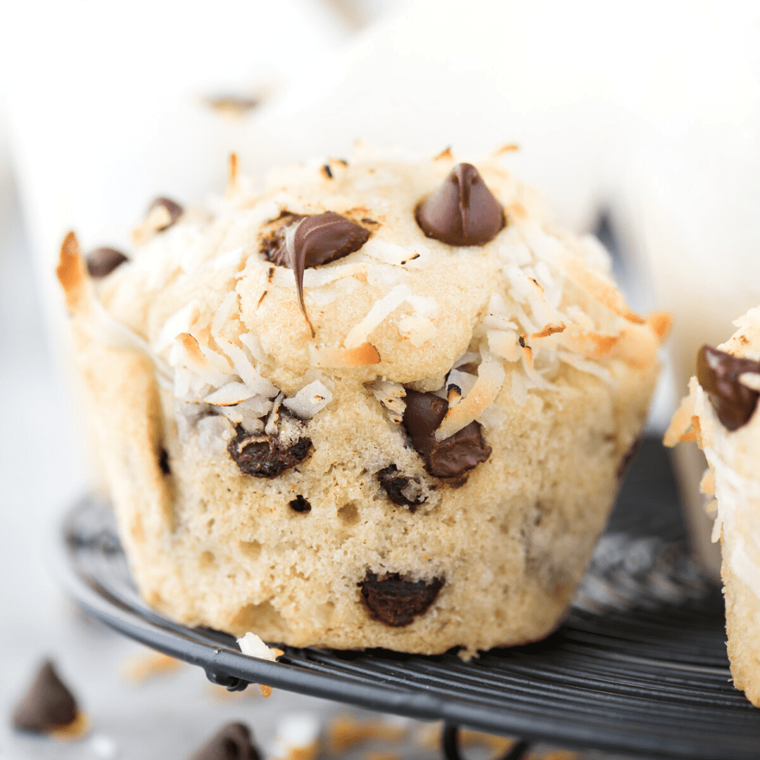 Coconut Chocolate Chip Muffins - bakery style coconut muffins!