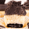 Oreo Bottom Cupcakes - oreos baked into the bottom of cupcakes!