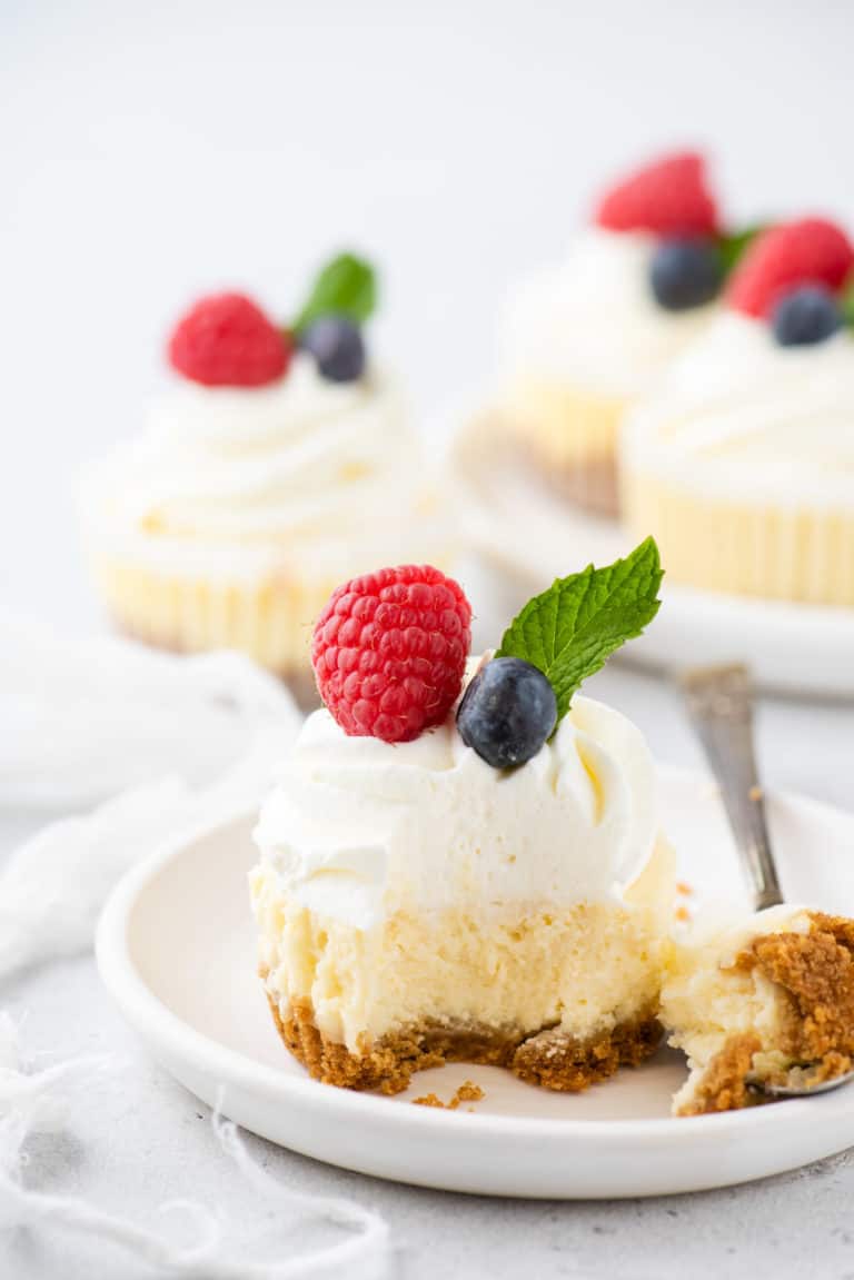 Individual Cheesecakes - The First Year