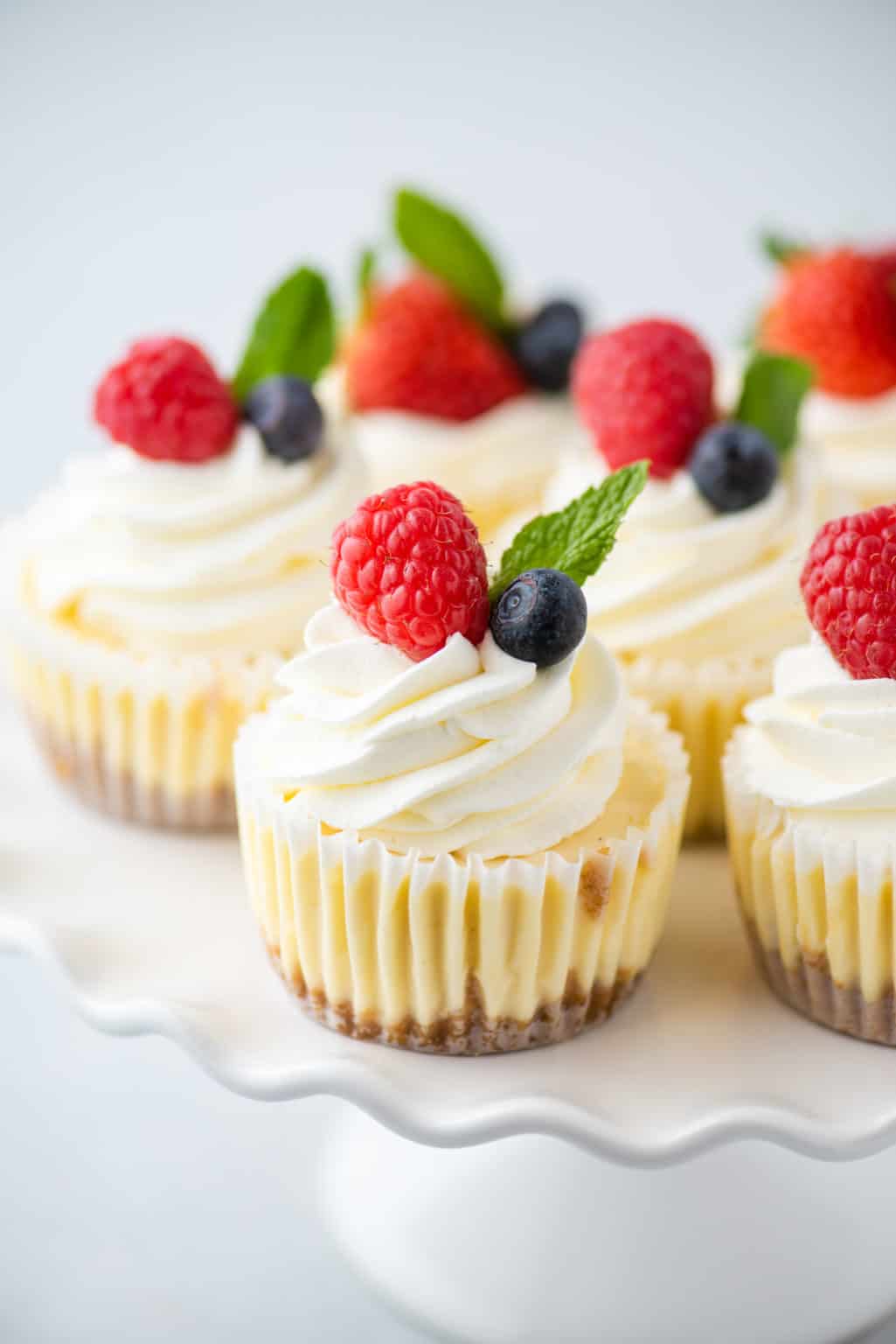 Individual Cheesecakes - The First Year