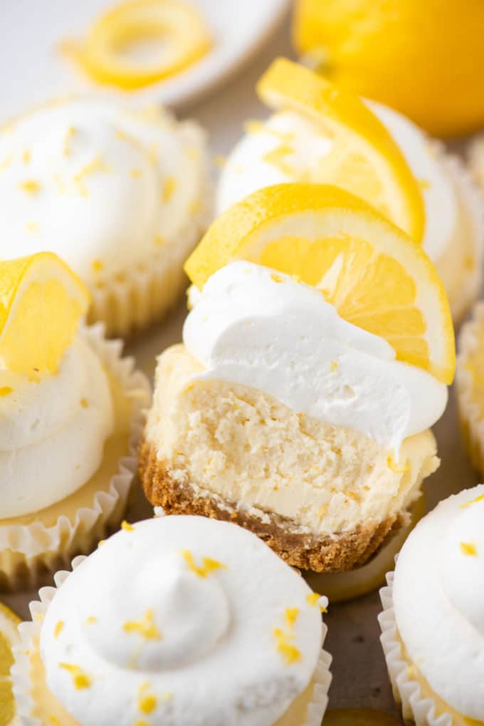 Mini Lemon Cheesecakes - The First Year