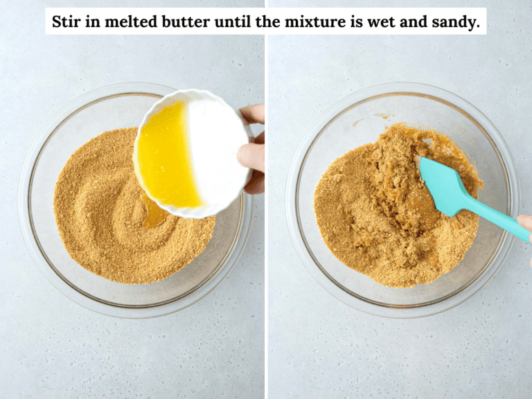 Recipe For Graham Cracker Crust - The First Year