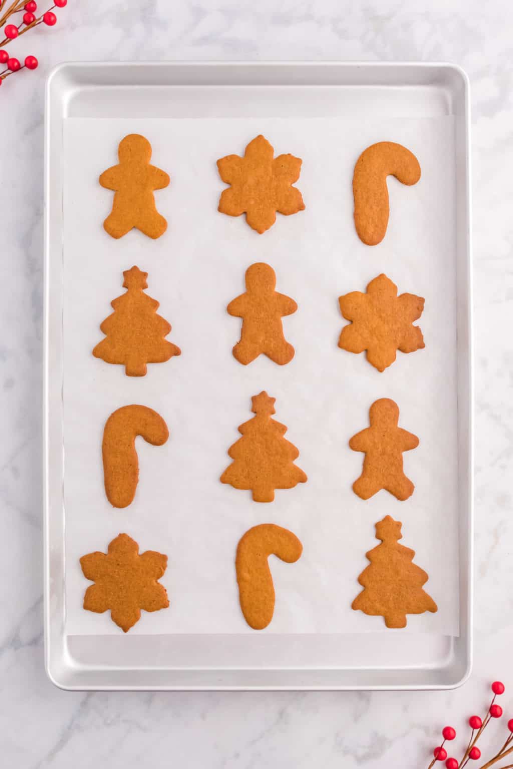 Gingerbread Cookies - The First Year