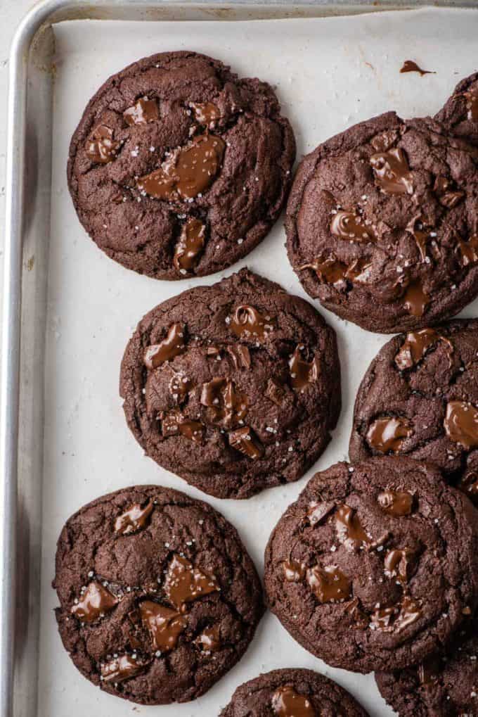 Thick & Chewy Chocolate Cookies l The First Year