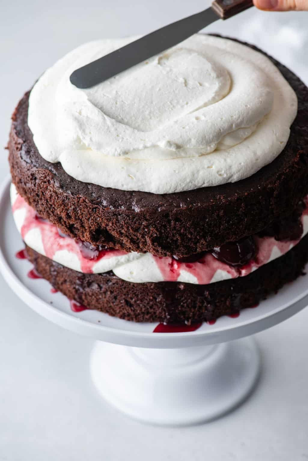 Black Forest Chocolate Cake-The First Year Blog