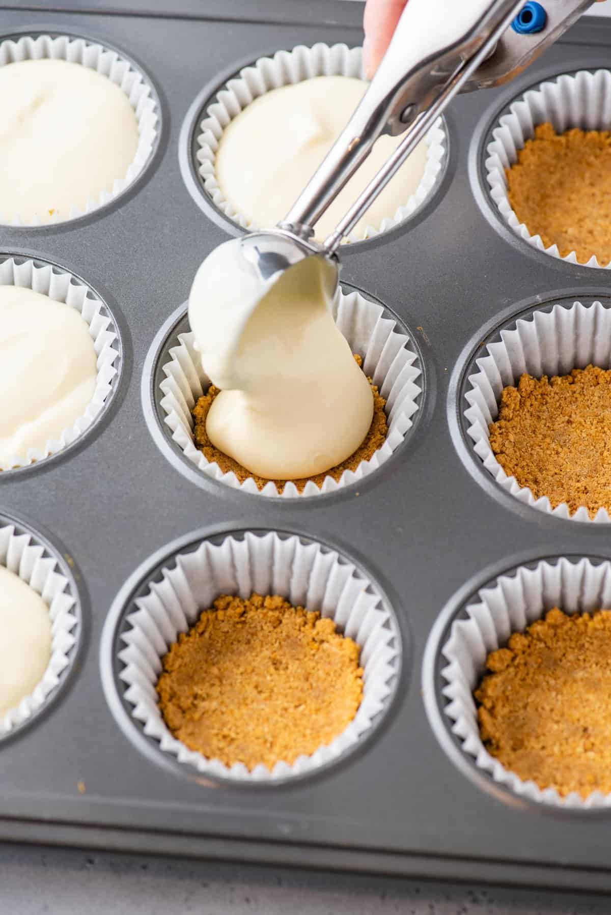 Easy Mini Cheesecakes - The First Year
