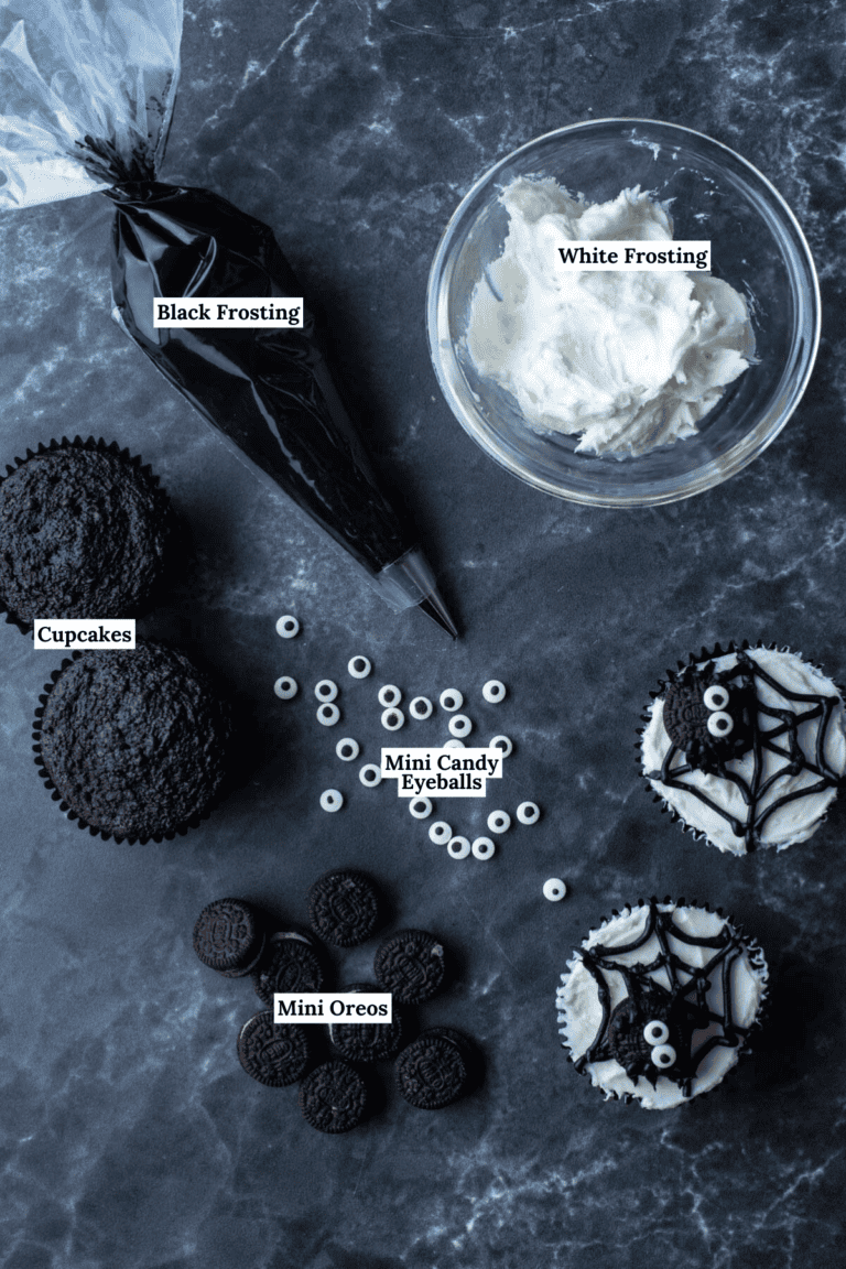 Spider Web Cupcakes - The First Year