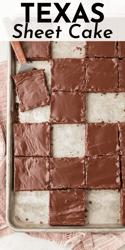 Texas Sheet Cake with Sour Cream - The First Year