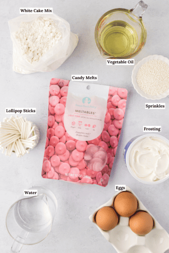 Homemade Cake Pops Recipe - The First Year