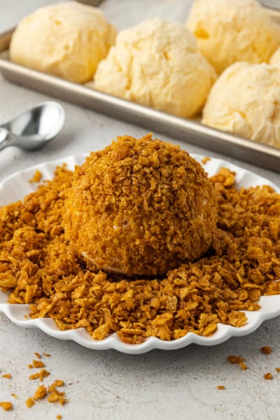 Recipe for Fried Ice Cream - The First Year