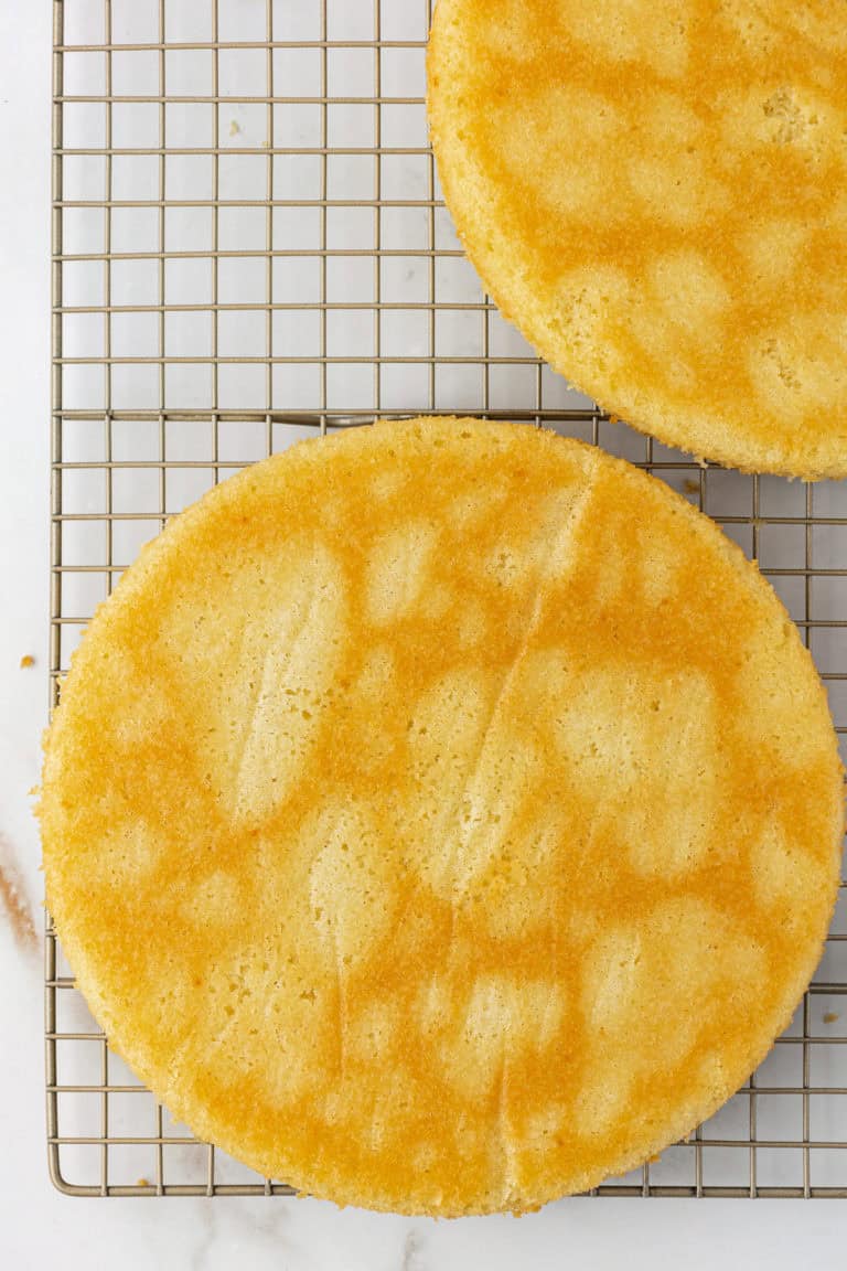 Moist Vanilla Cake Recipe - The First Year