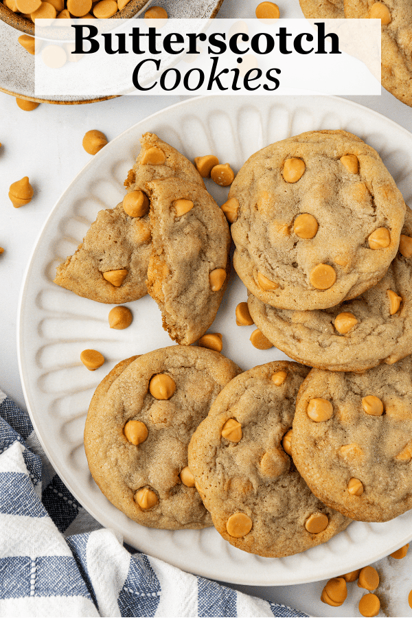 Butterscotch Cookies Recipe - The First Year