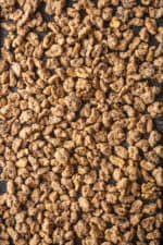 Best Recipe for Candied Walnuts - The First Year