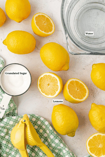 Fresh Squeezed Lemonade Recipe - The First Year