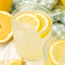 Fresh Squeezed Lemonade Recipe - The First Year