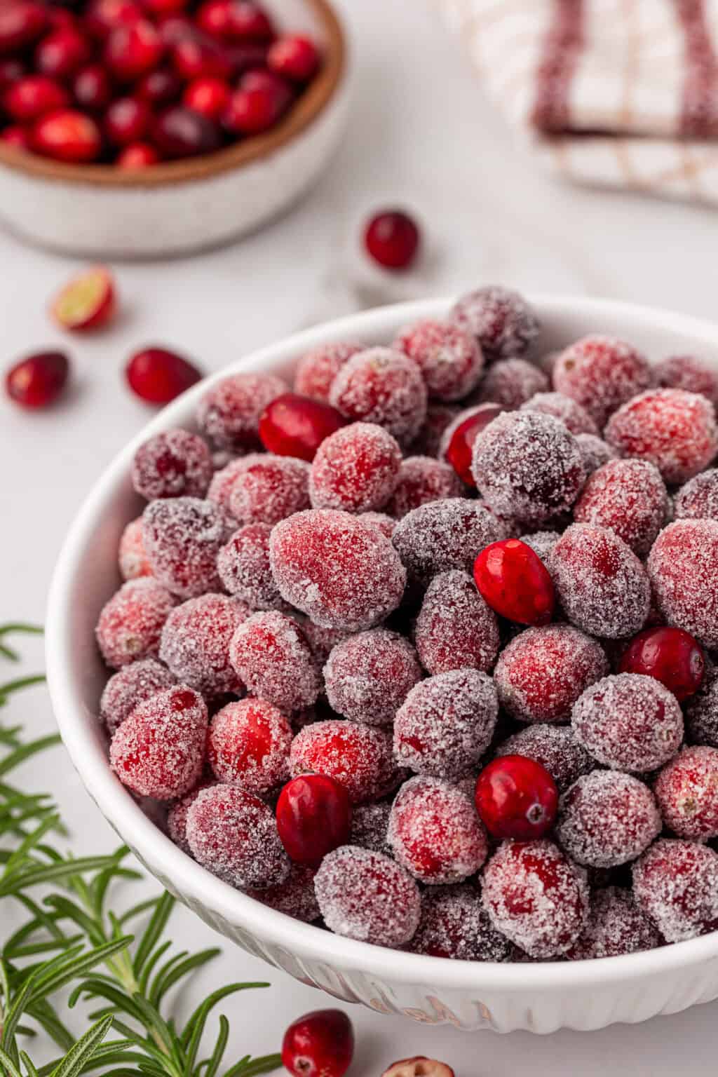 Sugared Cranberries - The First Year
