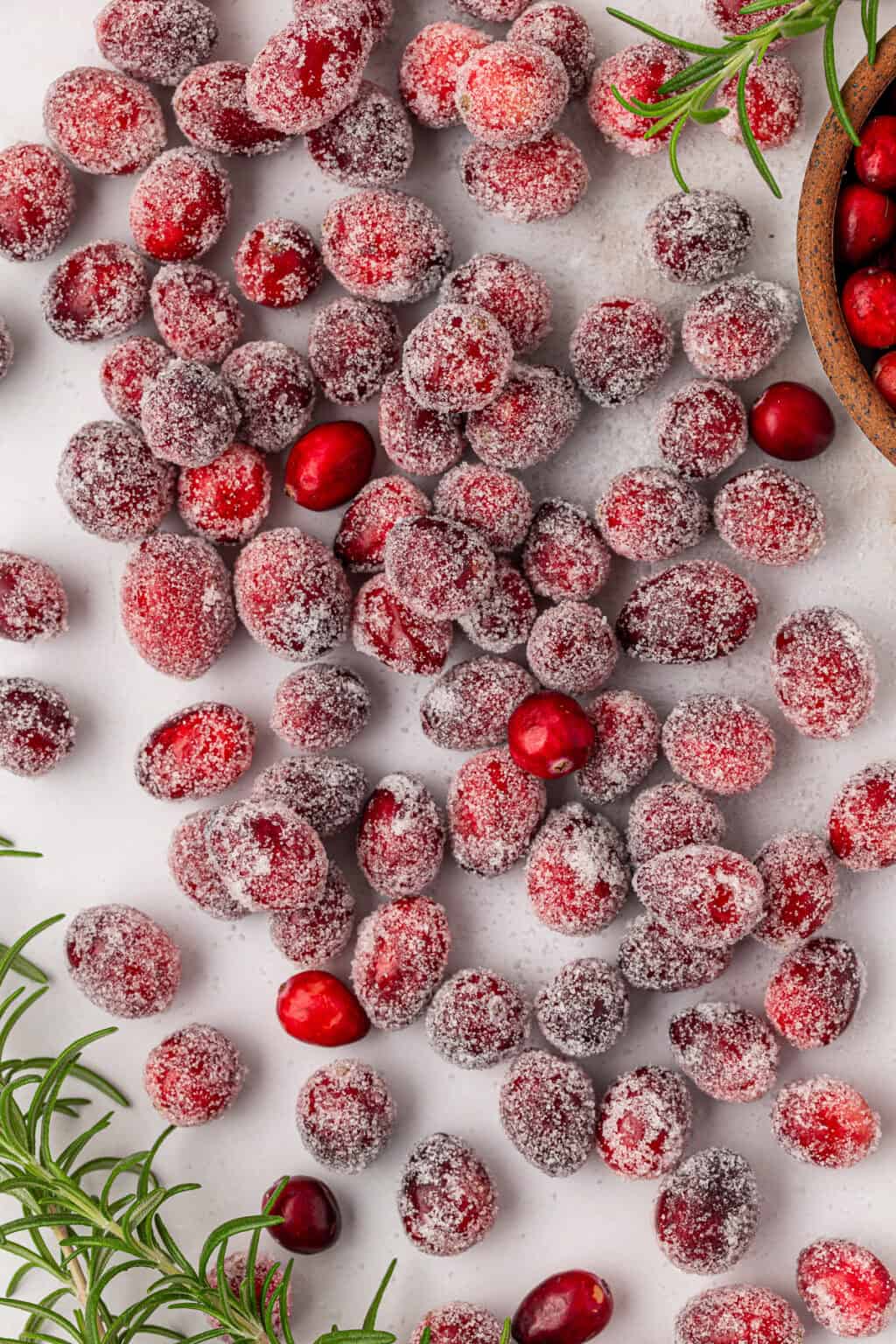 Sugared Cranberries - The First Year