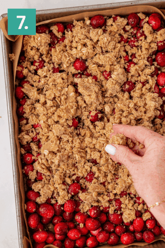 Cranberry Crumb Bars - The First Year